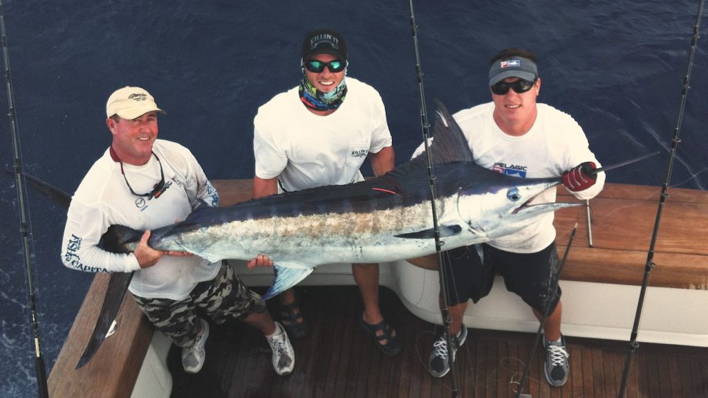 Wild Yellow Tail & Swordfish Recipes - The Provider